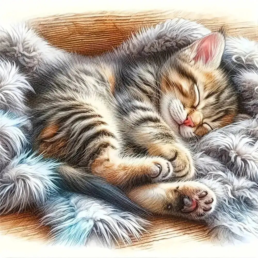Алмазная картина "Спящий котенок" MomoArt