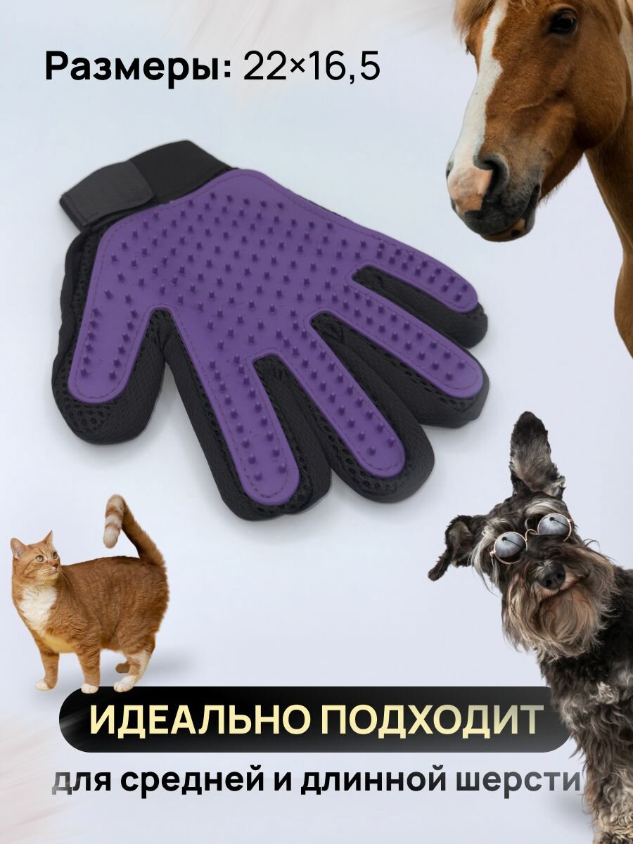Перчатка расческа для вычесывания шерсти кошек и собак, цвет сиреневый