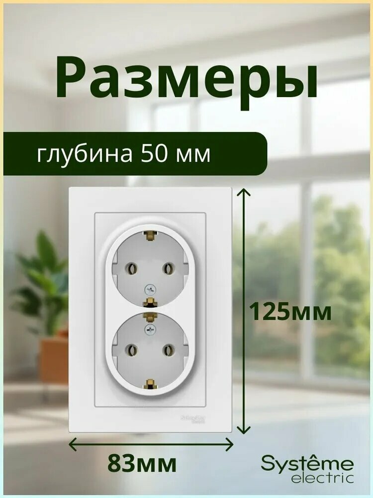 Розетка — фото 1