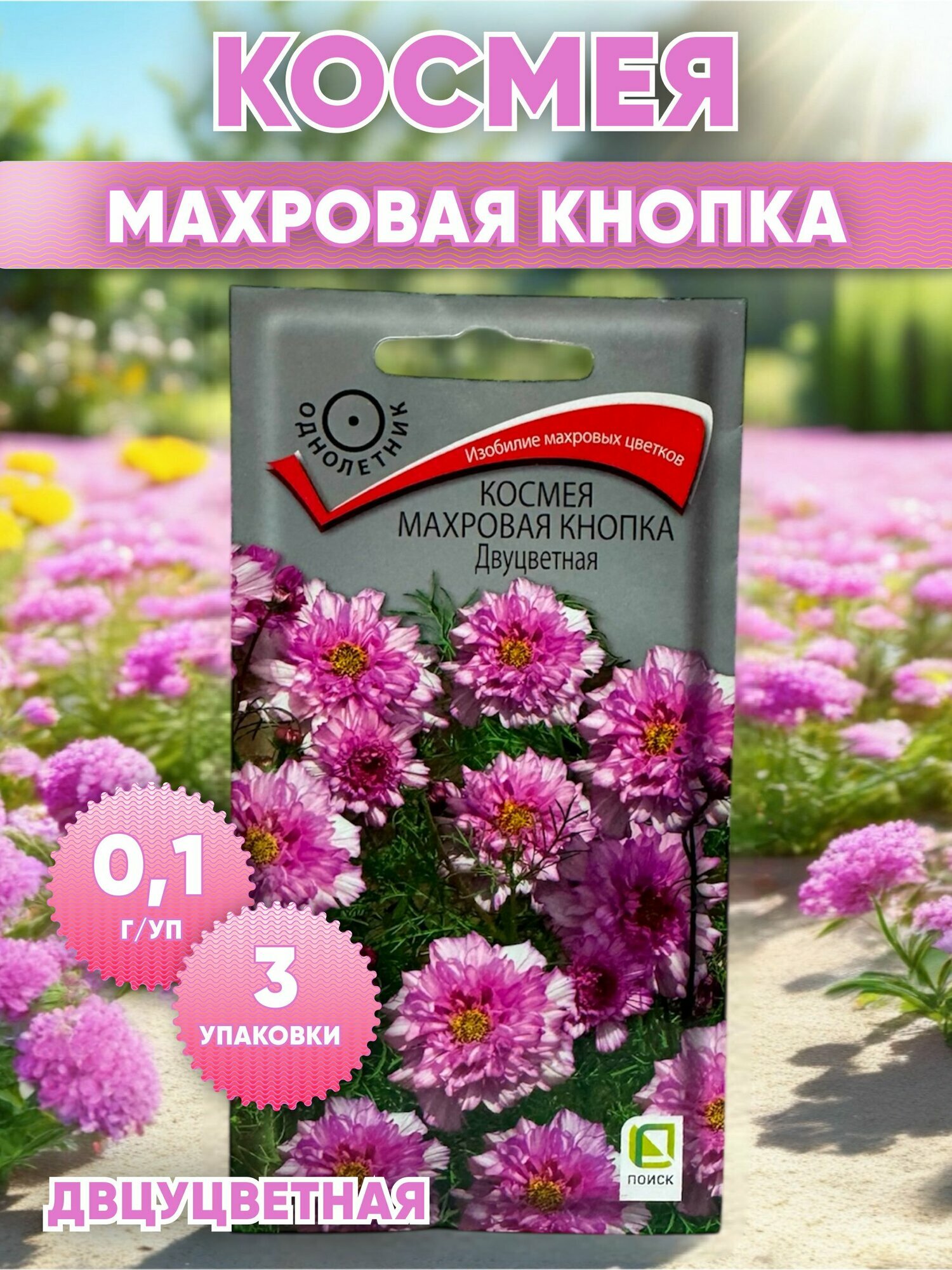 Семена Космея Кнопка махровая двуцветная 0,1г/1уп (3 упаковки), Поиск