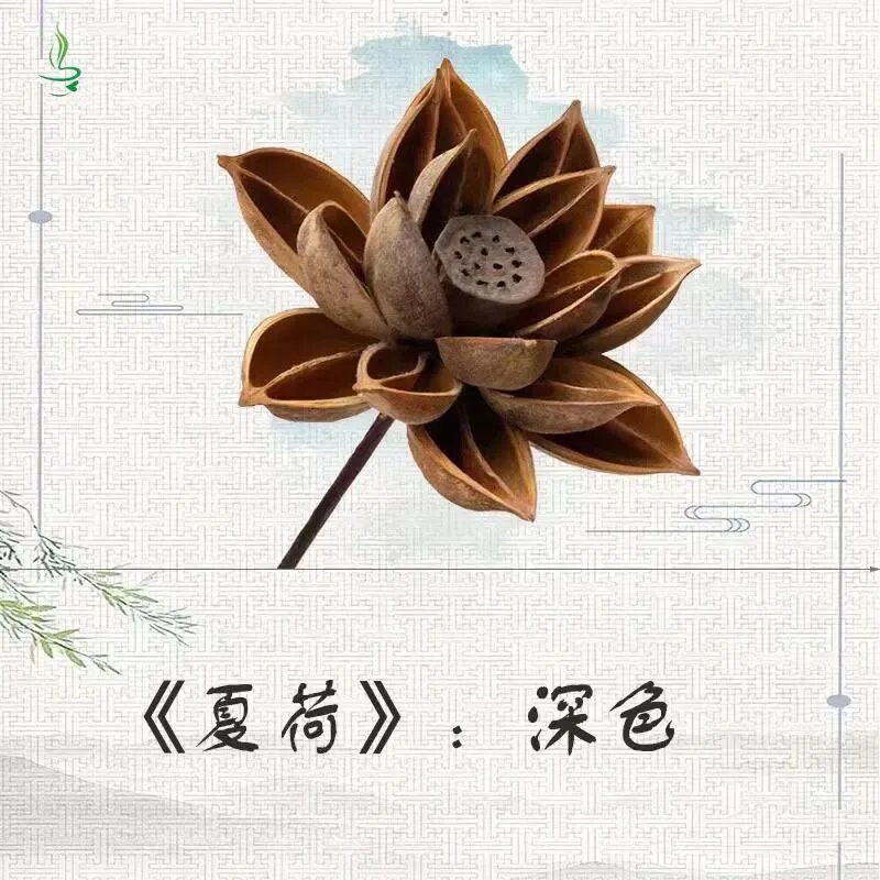 Стабилизированные цветы Лотос 1 шт. Декор для дома и интерьера, коричневый