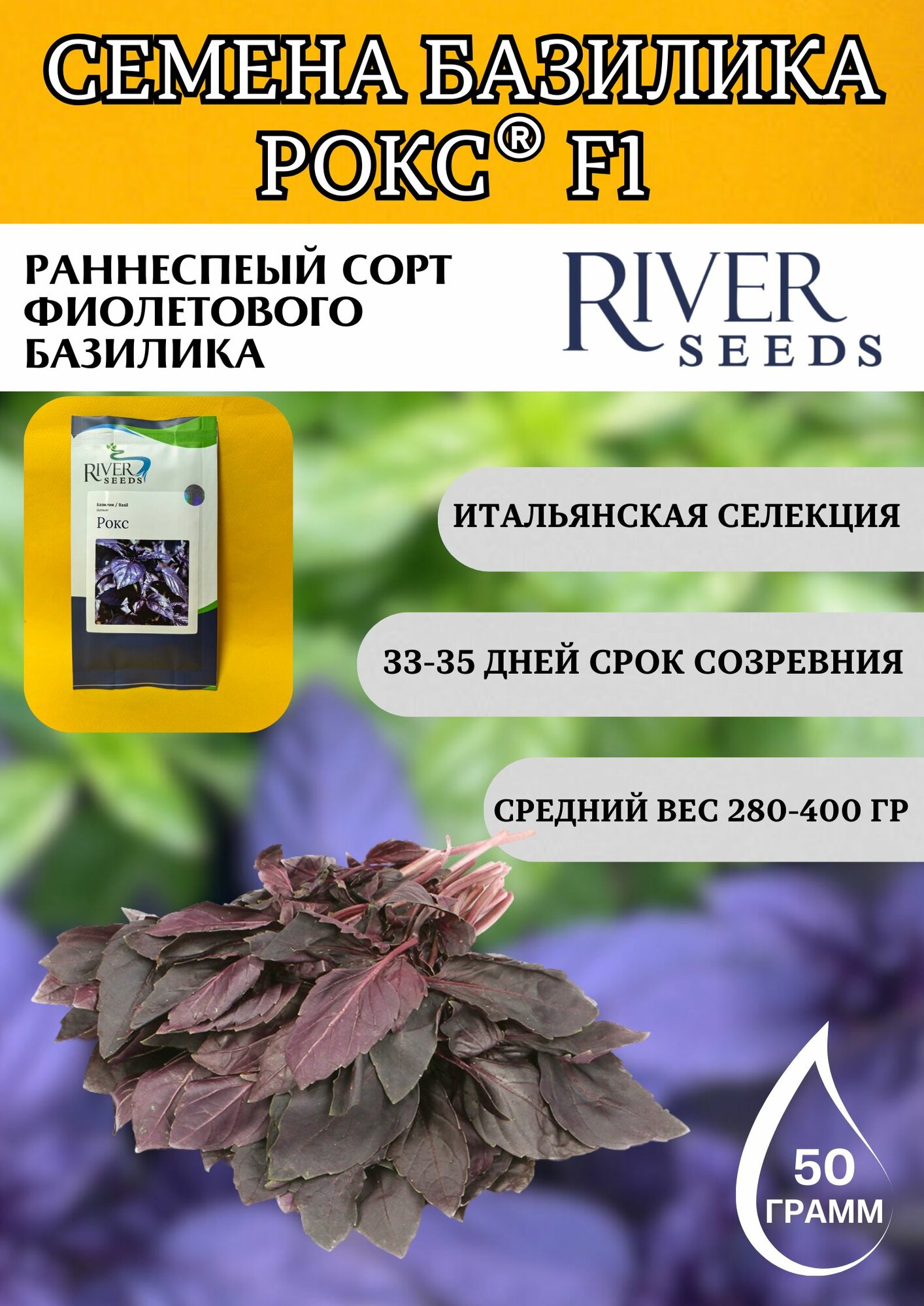 Семена базилика Рокс 50 грамм, профессиональные семена