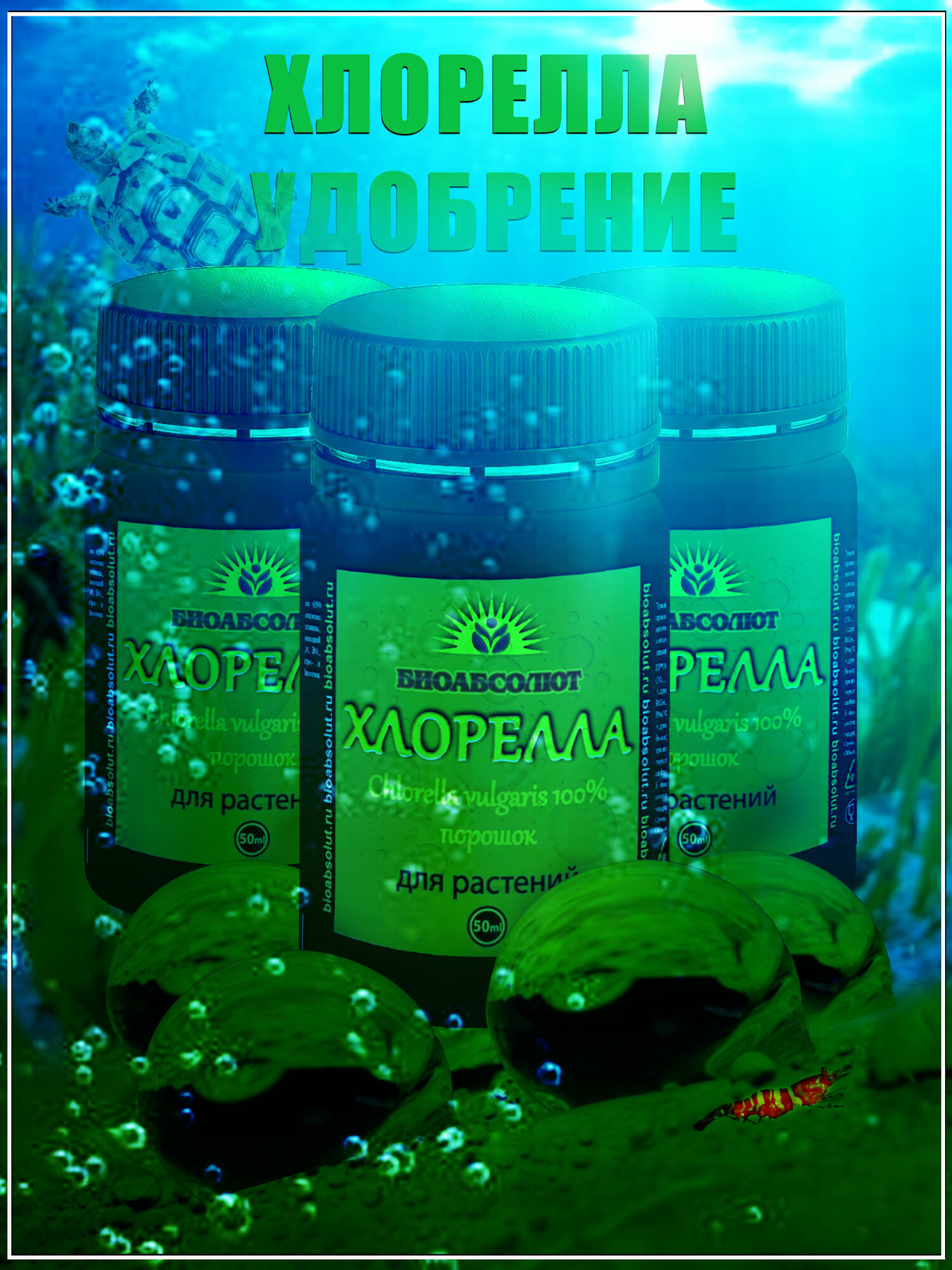 Зеленые высушенные водоросли прямиком из дикой природы Хлорелла порошок Набор 3 флакона по 50г.