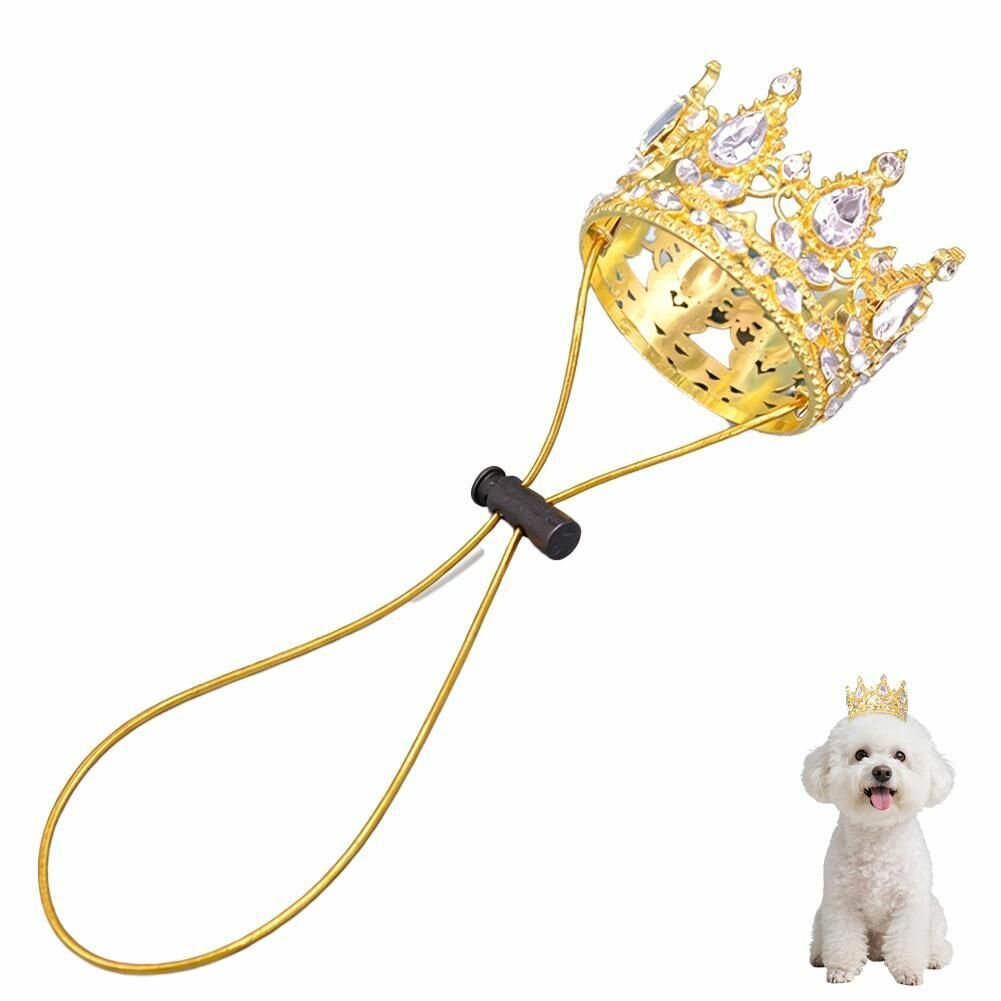 Домашняя корона - головной убор для кошек и собак