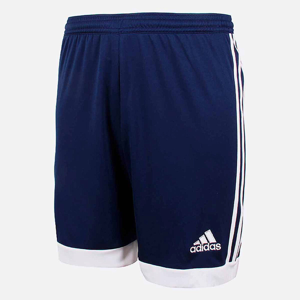 Шорты спортивные Tastigo 15 Shorts