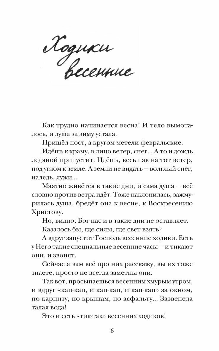 Книга Никея "Не держите небо" — фото 1