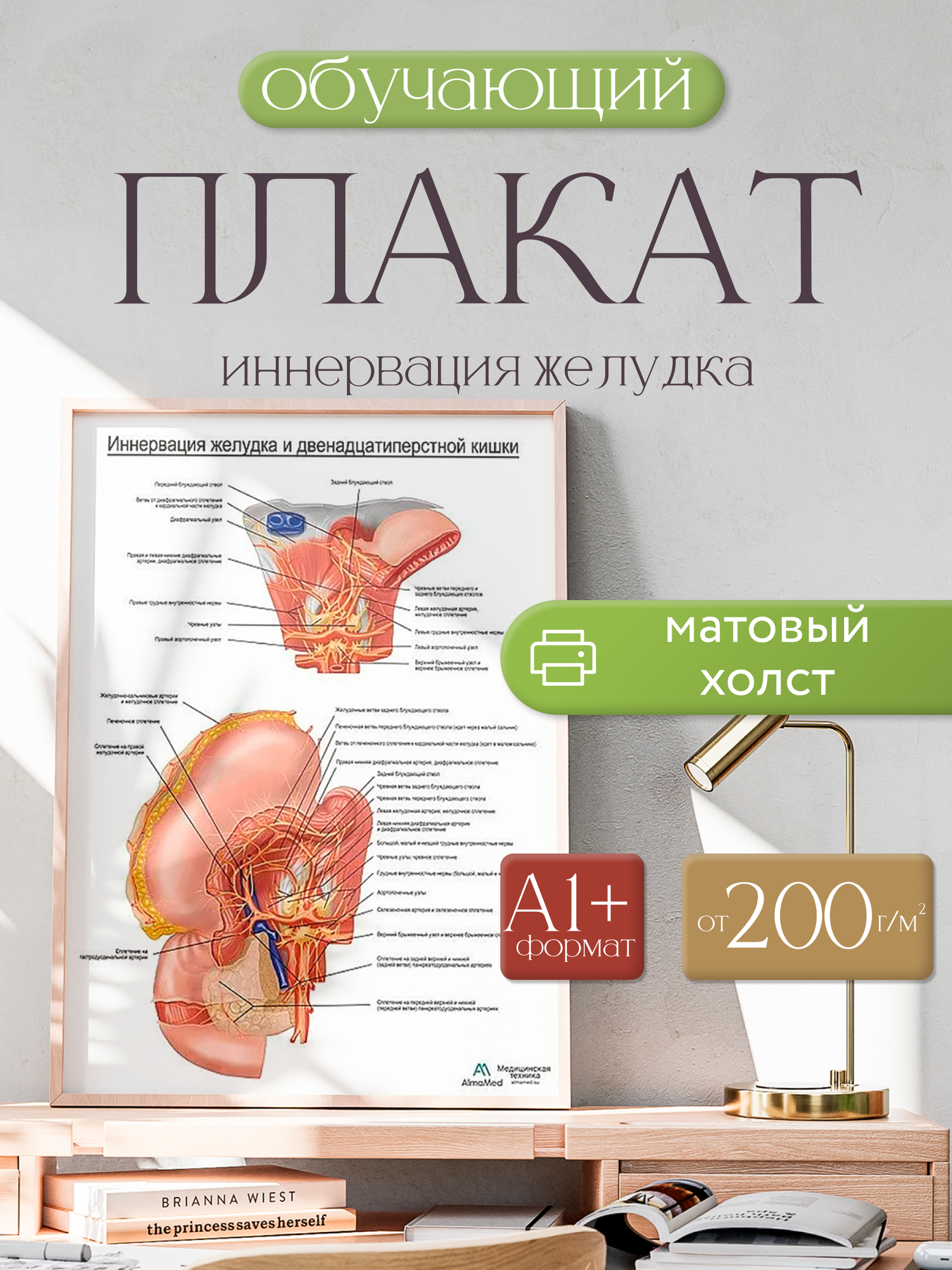 Обучающий плакат "Автономная иннервация желудка продолжение", размер А1+, матовый холст от 200г/м2