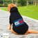 Толстовка для собак Tommy Jeans черная с капюшоном для маленьких пород