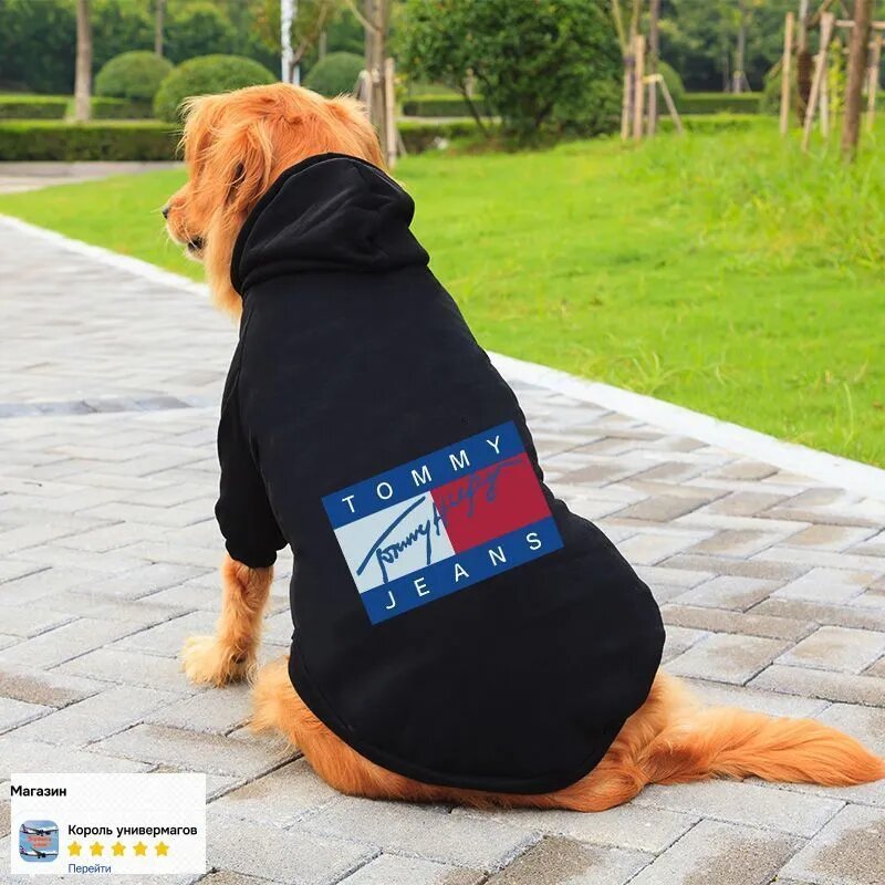 Толстовка для собак Tommy Jeans черная с капюшоном для маленьких пород