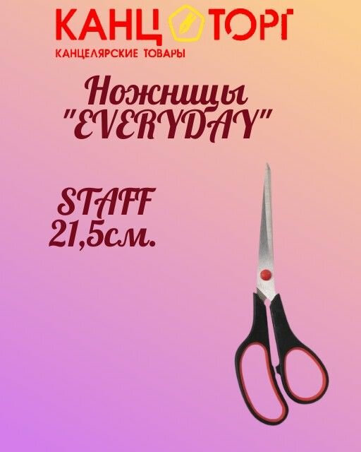 Ножницы 21,5см. STAFF "EVERYDAY" (237500)
