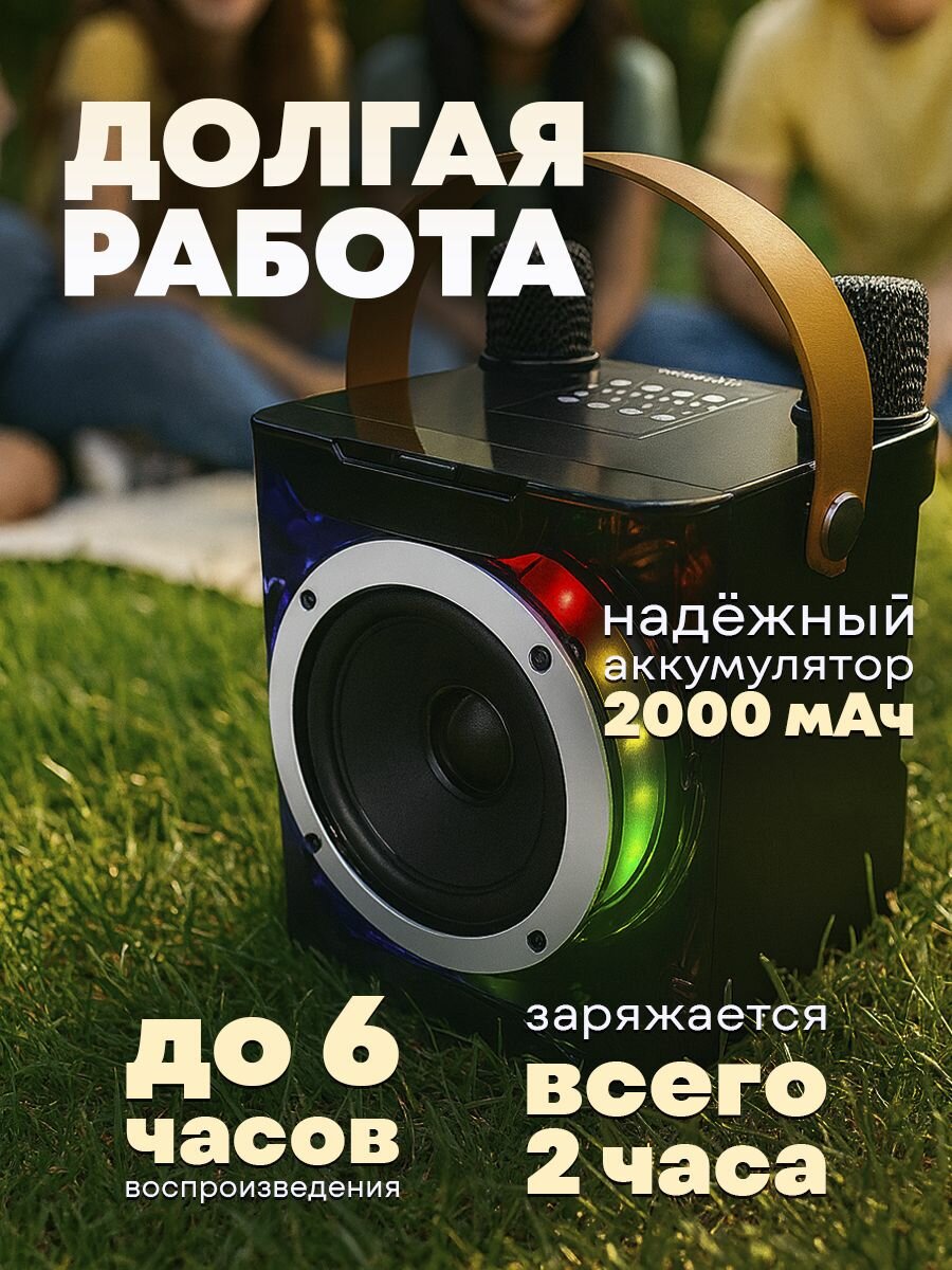 Караоке система с двумя микрофонами