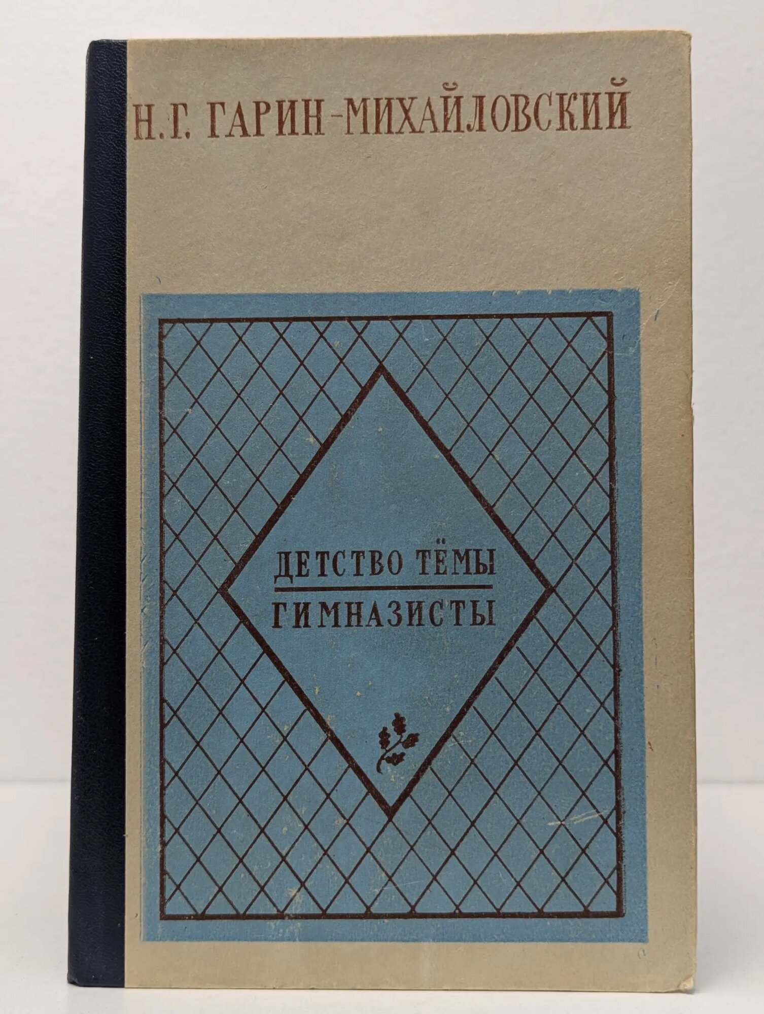 Детство Тёмы. Гимназисты Гарин-Михайловский Николай Георгиевич 1984