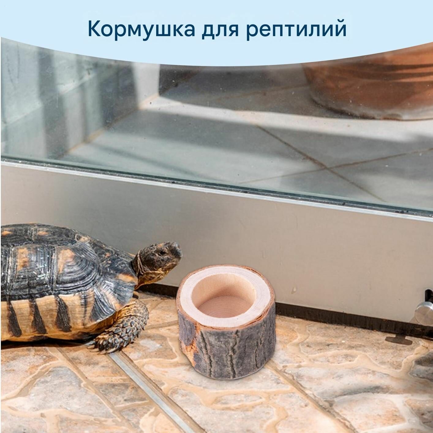 Миска для животных