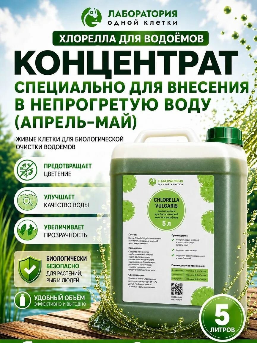 Хлорелла для пруда 5 л. Биопрепарат против цветения воды безопасно для рыб Лаборатория одной