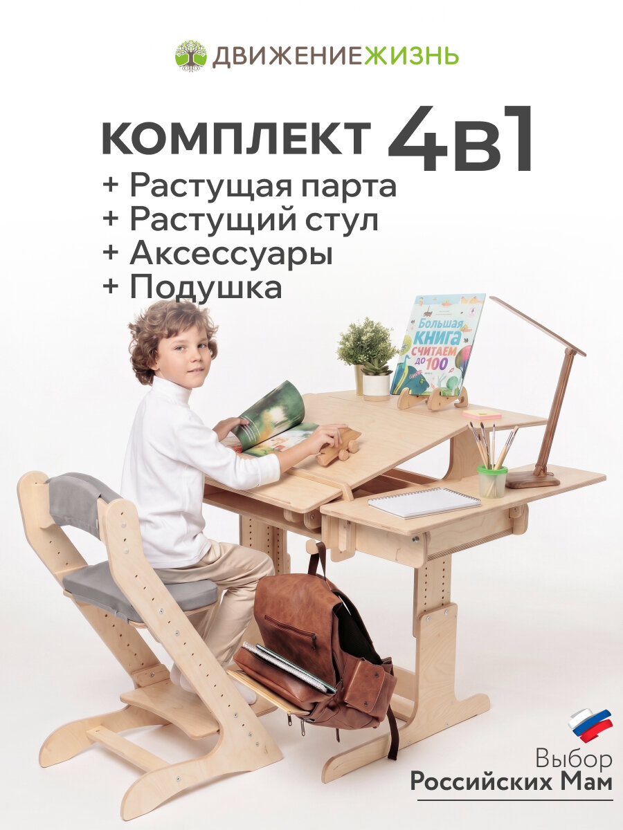 Парта растущая с аксессуарами, растущий стул с подушкой, без покрытия