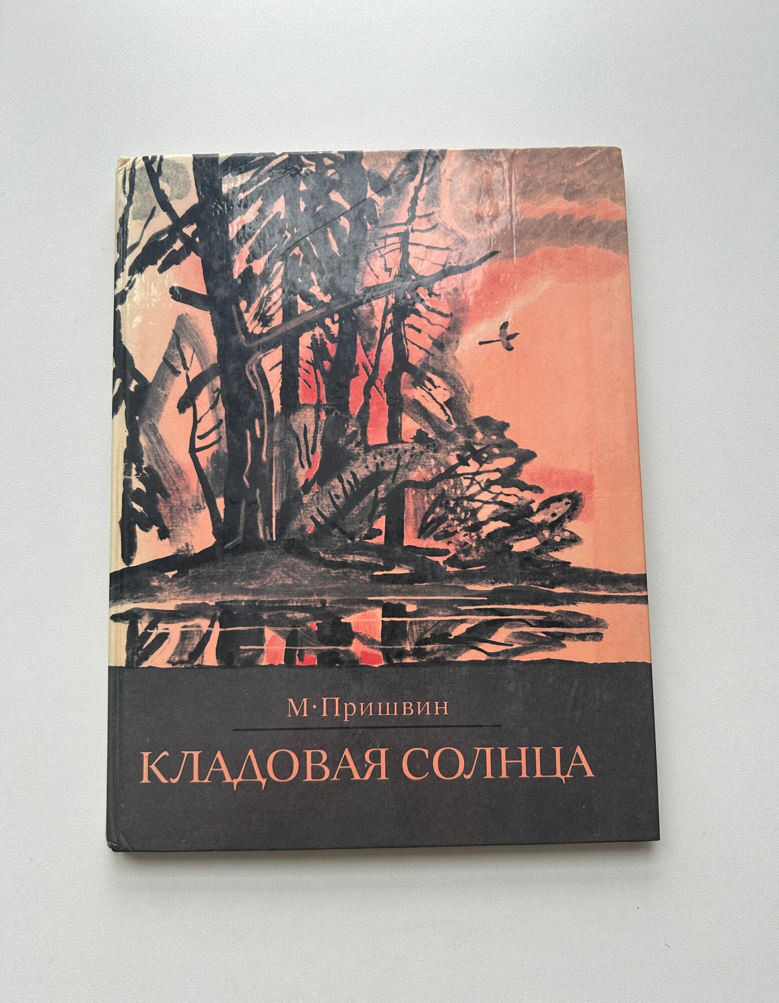 Книга "Кладовая солнца". Художник Иван Бруни. Издание 1976 года