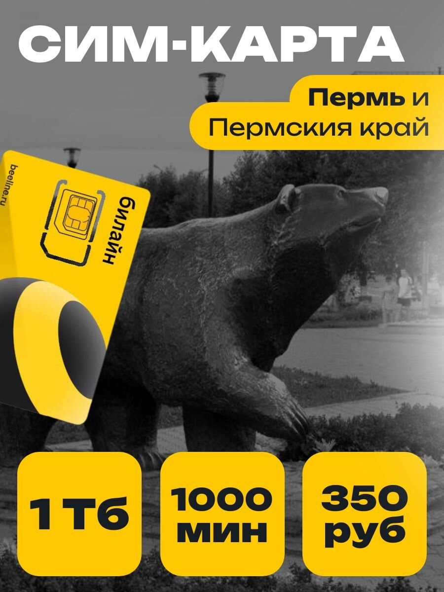 Сим-карта Билайн тариф Эксклюзивный Плюс Пермский край 1000 Гб + 1000 минут за 350 руб.