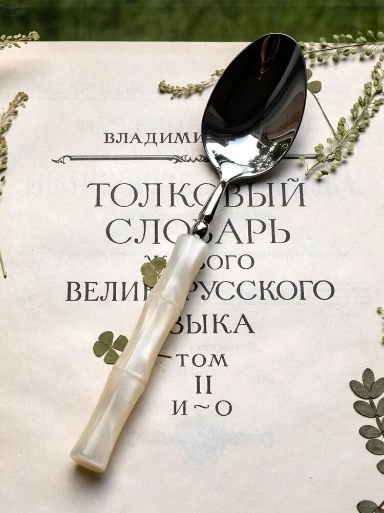 Olevo Ложка столовая Креативная посуда. 1 предм. разноцветный