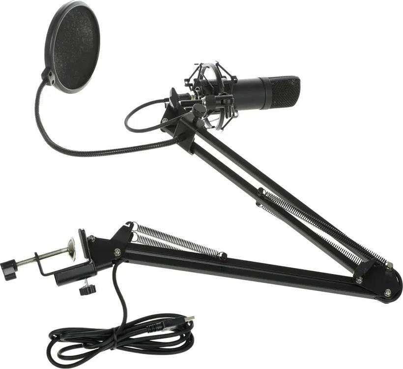 Микрофон RITMIX проводной, RDM-180, 2,5 м, черный (80000153)