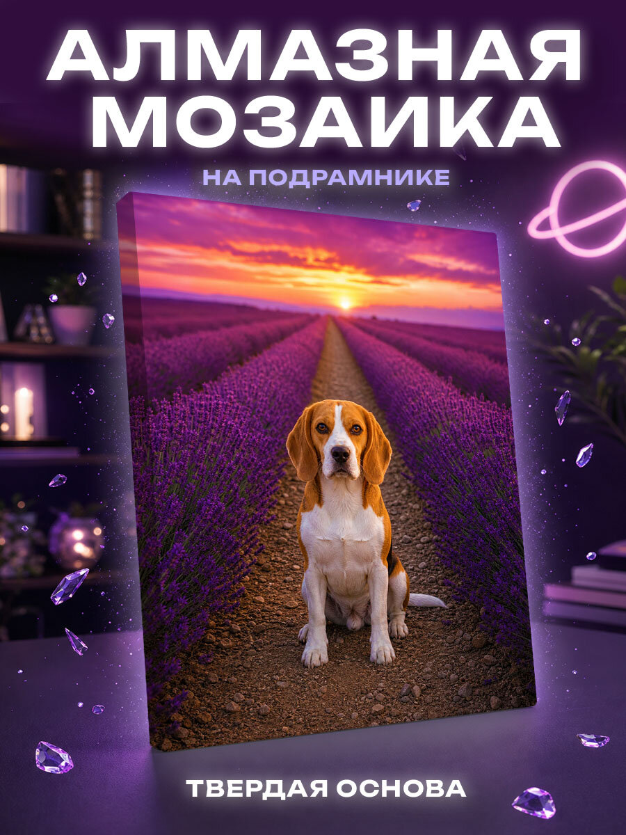 Алмазная мозаика Бигль в рядах фиолетовой лаванды
