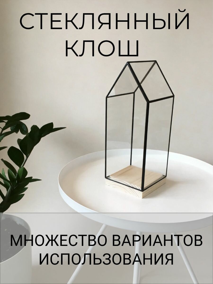 Декоративный клош на деревянной подставке для хранения коллекционных предметов / Стеклянная колба для новогоднего декора (Ваза, цилиндр, мини-витрина) / Флорариум