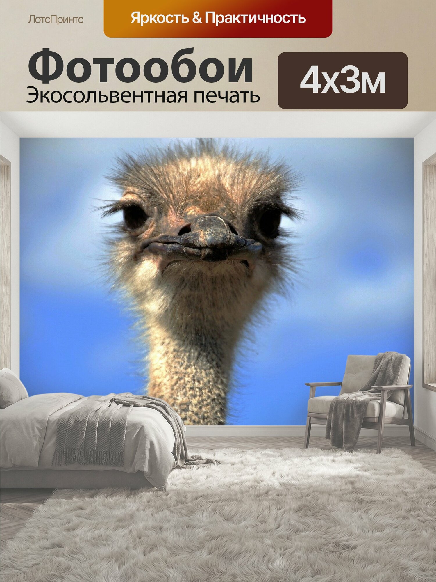 Фотообои "Страус, страусиная голова, клюв" 400x300 см. экосольвентная печать