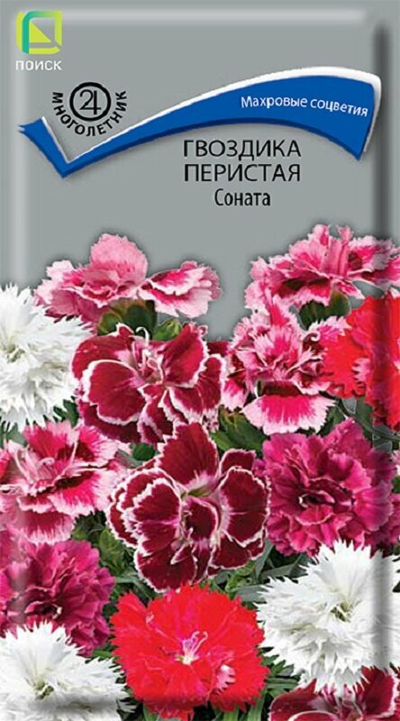 Семена цветов гвоздика перистая Соната, для дачи, сада, огорода и на рассаду