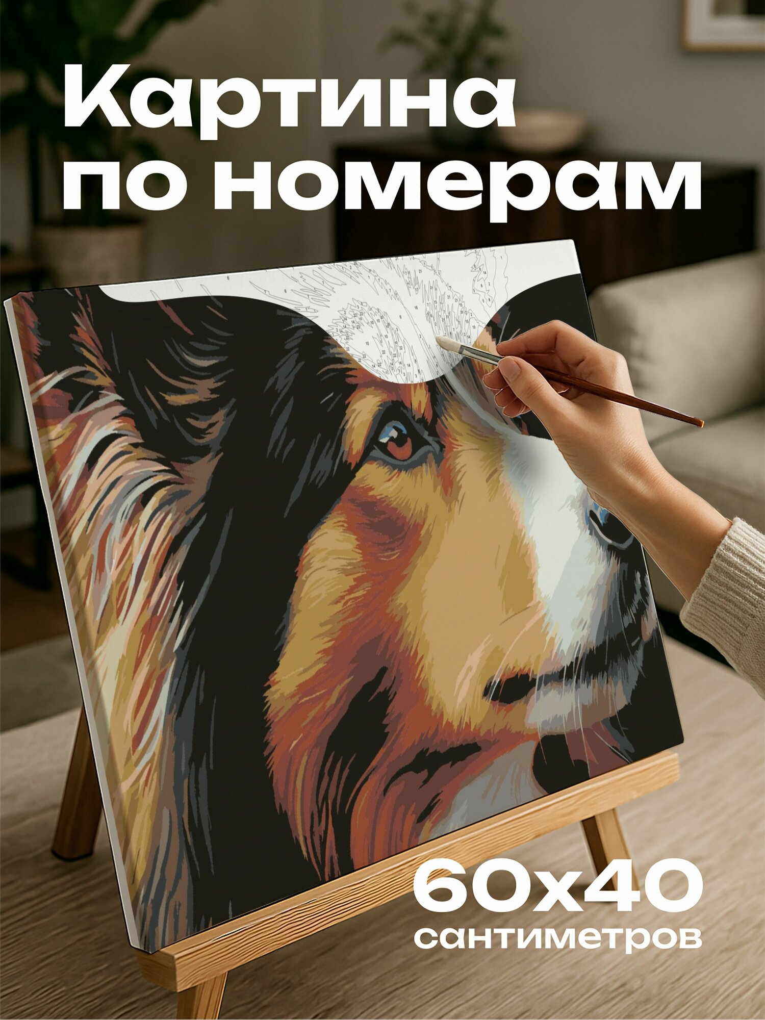 Картина по номерам 60x40 см, Колли, масляная картина, гиперреализм, шерсть, глаза, величественный, преданный