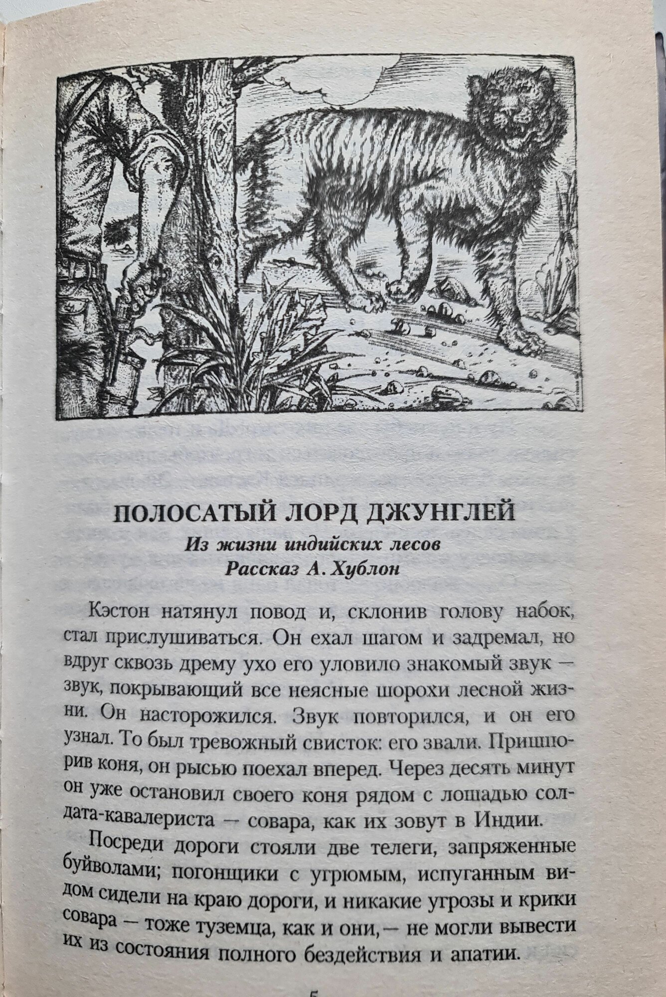 Хозяева джунглей — фото 1