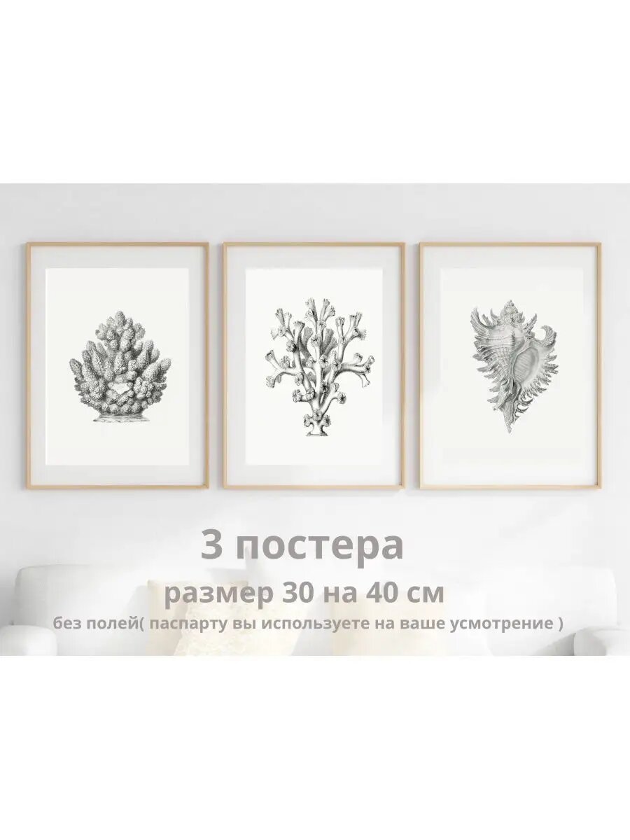 Постеры в морском стиле, 30 x 40 см, материал бумага, без рамы