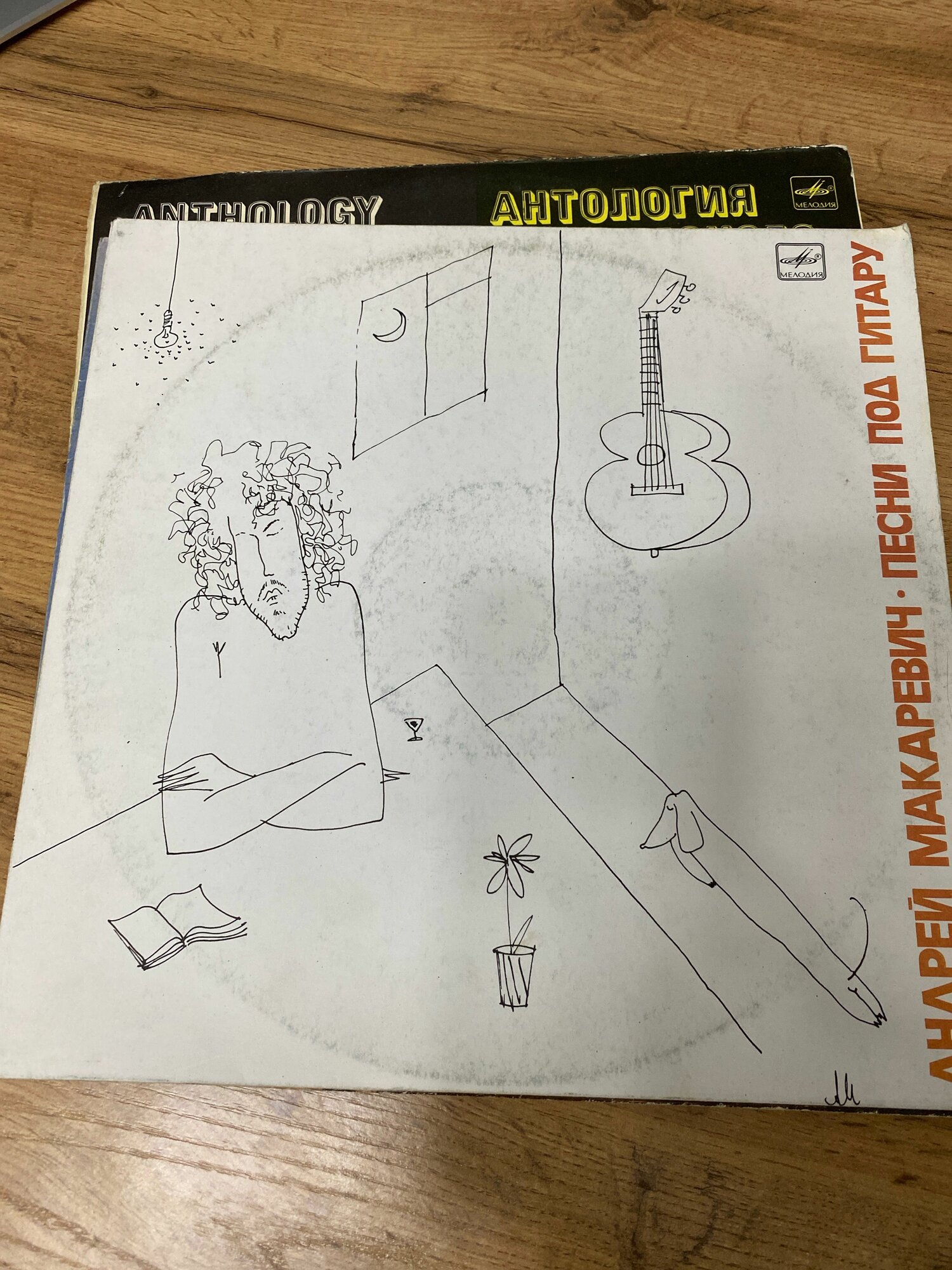 Виниловая пластинка Андрей Макаревич - Песни Под Гитару. 12"