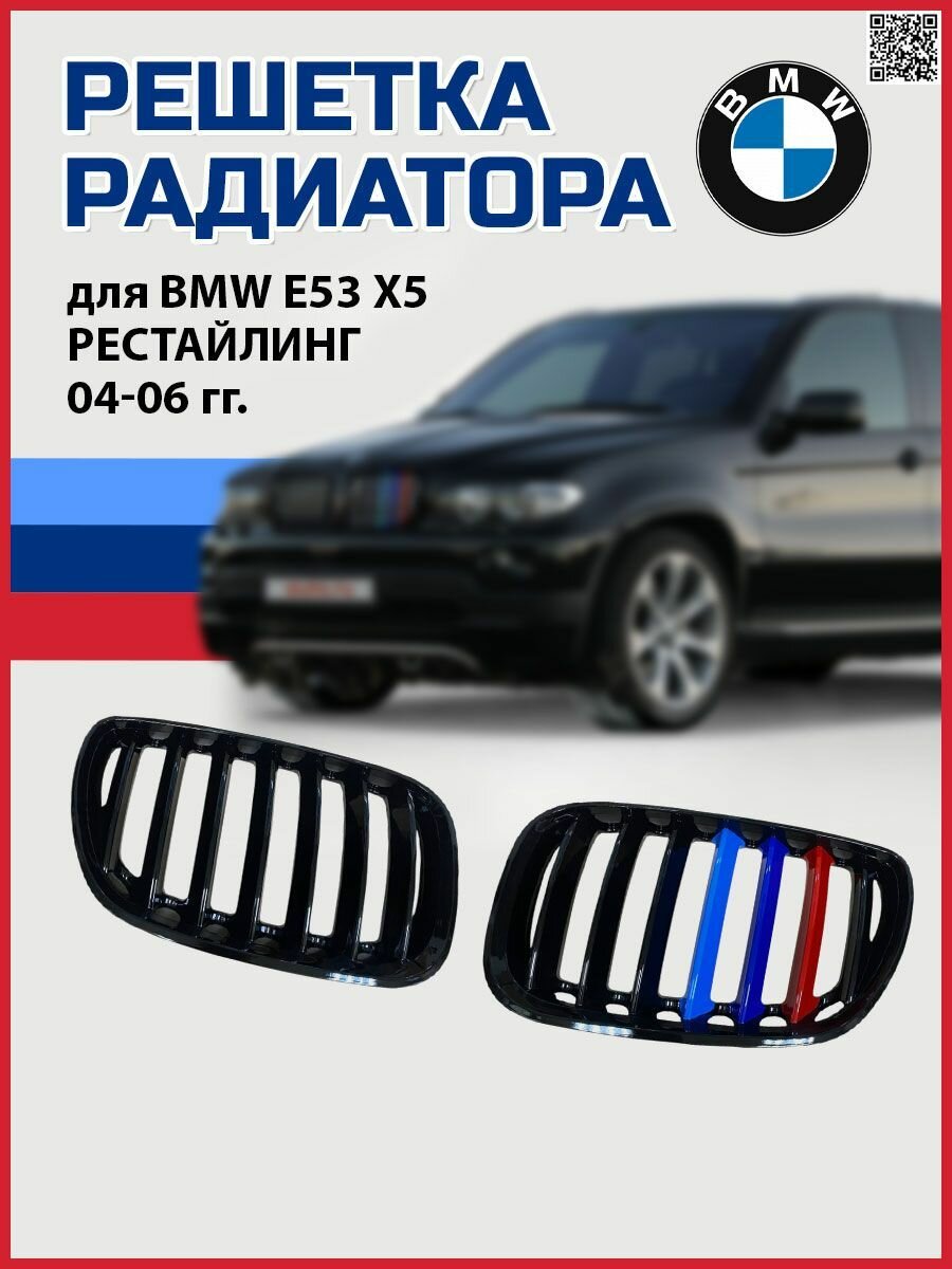 Решетка радиатора ноздри BMW E53 X5 рестайлинг 04-06 гг. с цветными вставками