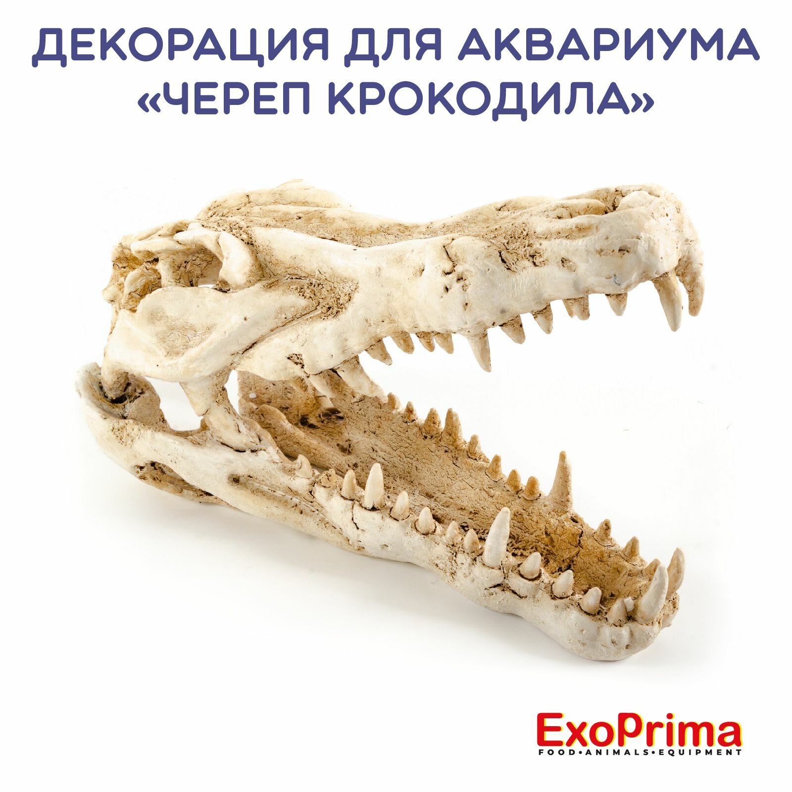 Череп крокодила для аквариума, 25х11.5х15.5см