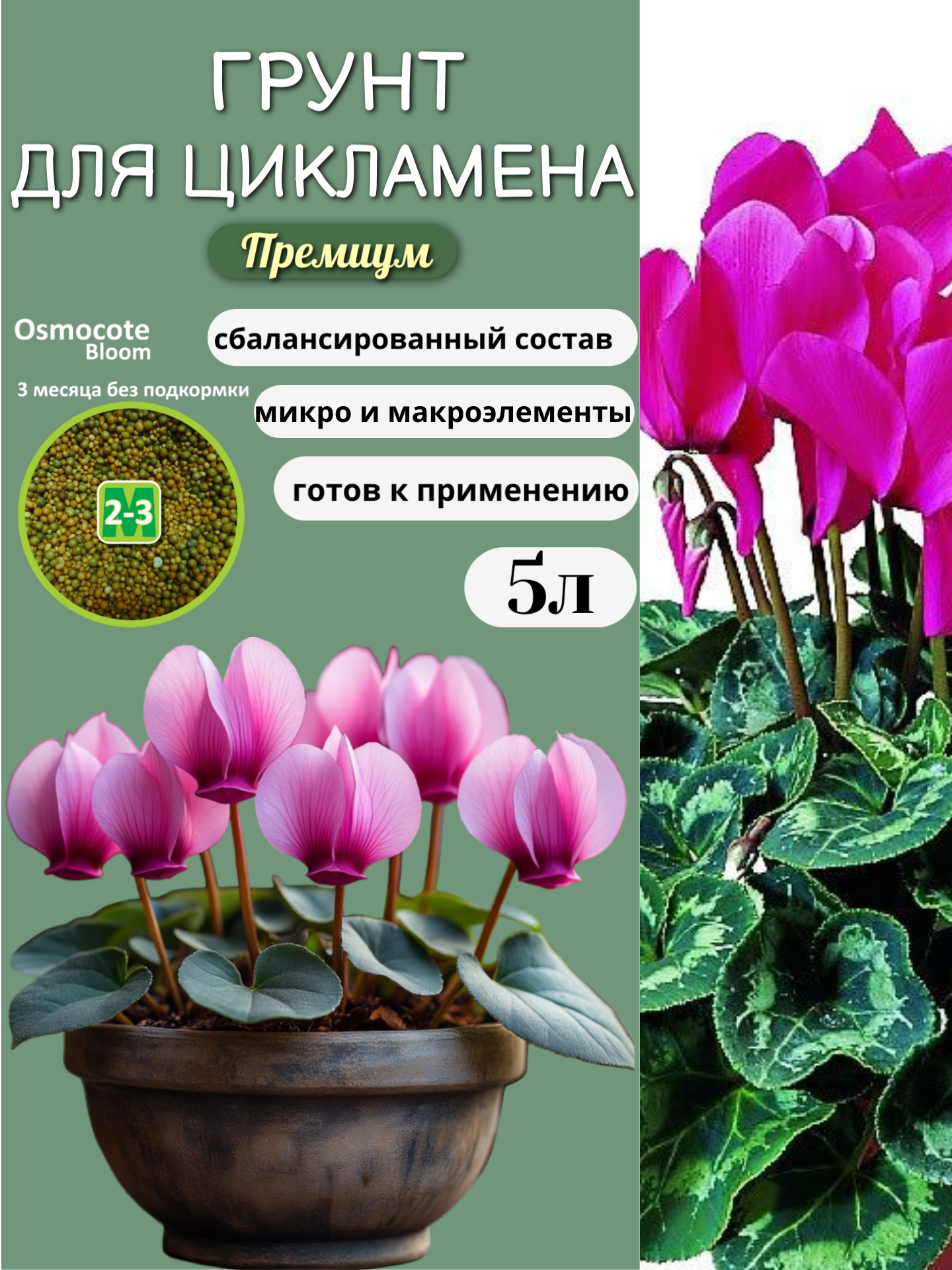 Грунт для цикламена 3 л для отличного роста и развития растения