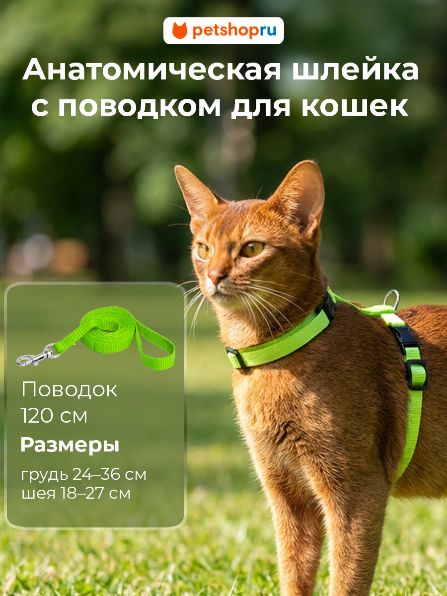 PETSHOP Шлейка с поводком для кошек "Мяу", 24-36 см, салатовая