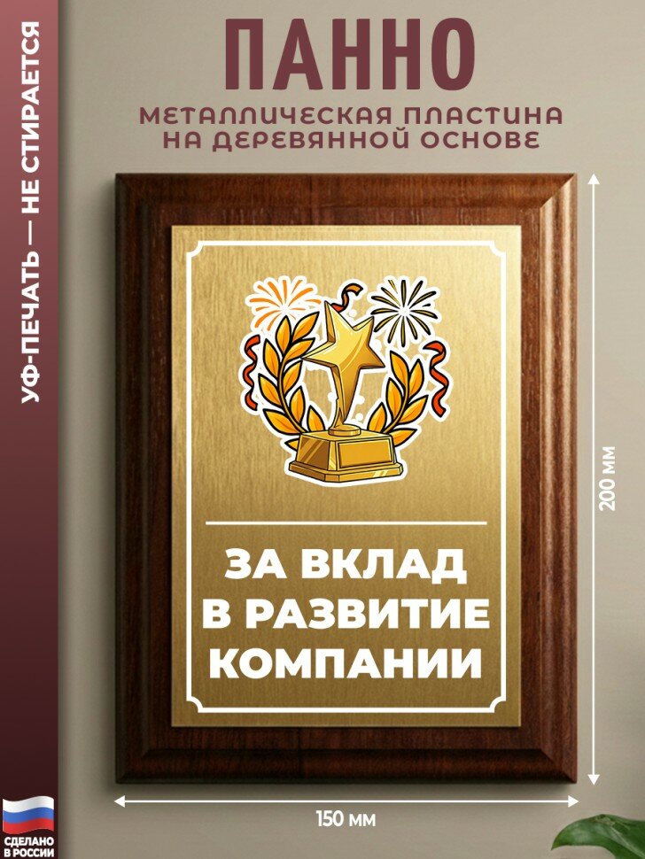 Настенный диплом "За вклад в развитие компании"
