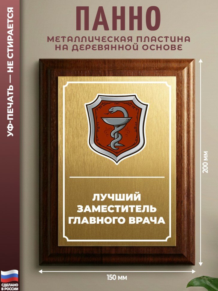 Настенный диплом "Лучший заместитель главного врача"