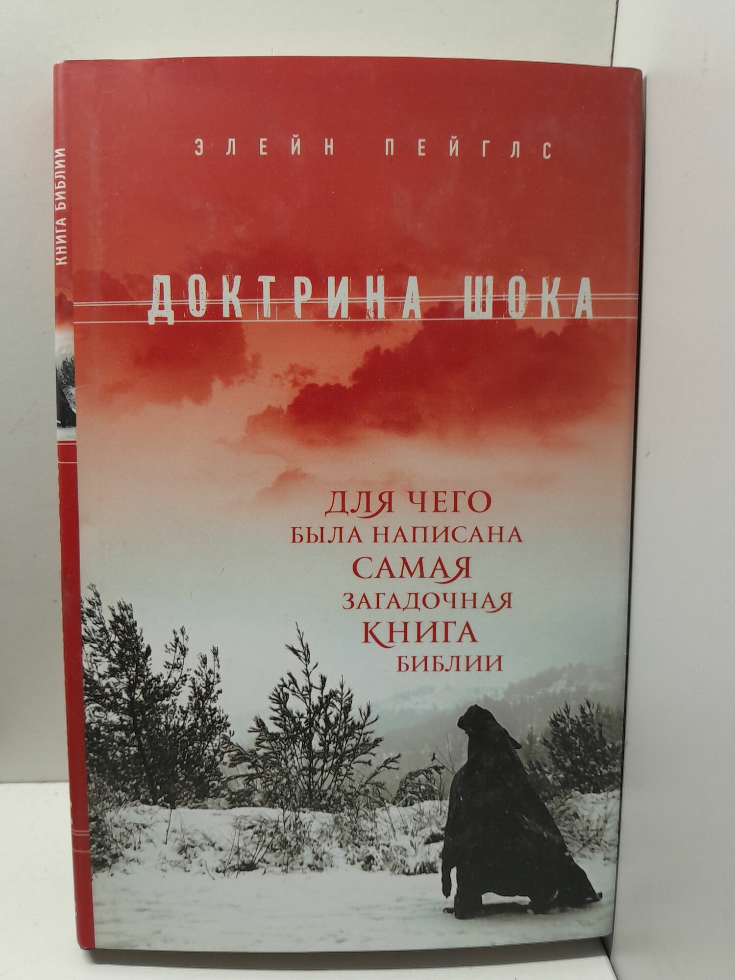 Доктрина шока: Для чего была написана самая загадочная книга Библии / Пейджелс Элейн