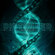 DISTURBED Evolution (LP)