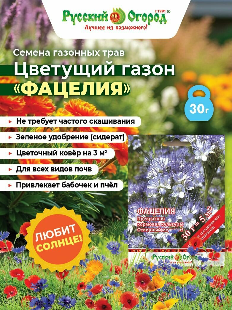 Зеленое удобрение луговой Фацелия