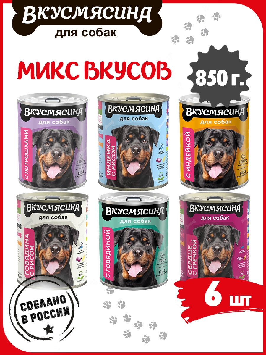Корм для собак влажный, вкусмясина микс 33 из 6 вкусов, 850 г х 6 шт.