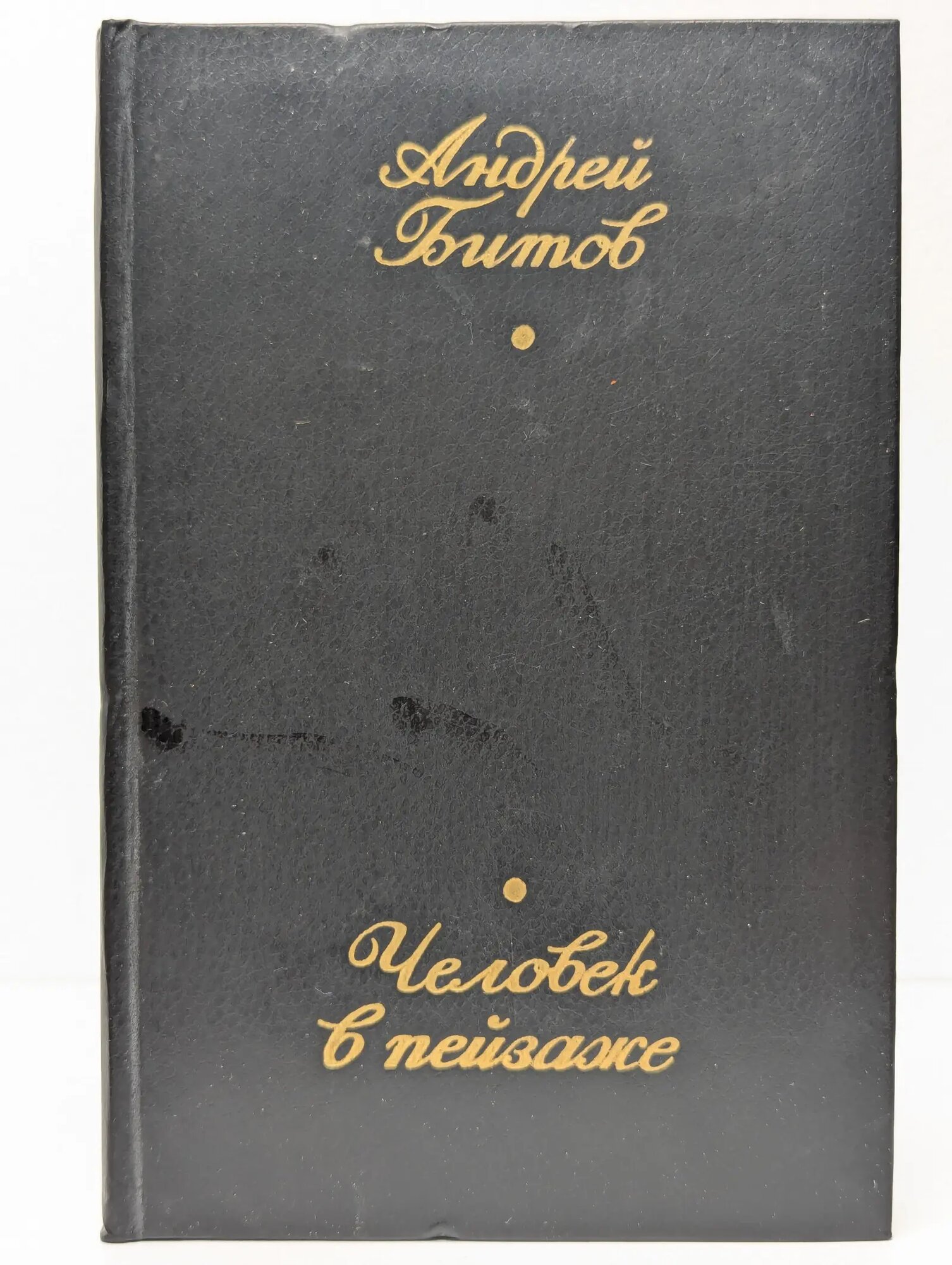 Человек в пейзаже. Повести и рассказы Битов Андрей Георгиевич 1988