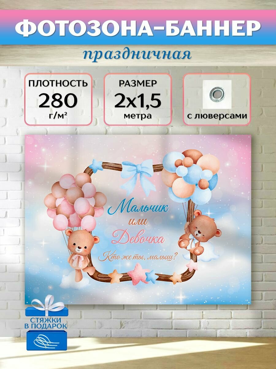 Фотозона-баннер на гендер пати "Мишки", 2х1,5 м