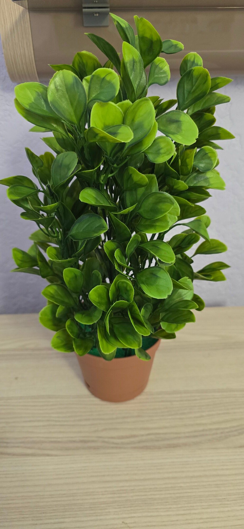 Искусственное растение Holodilova "Самшит", зеленое, в пластиковом горшке