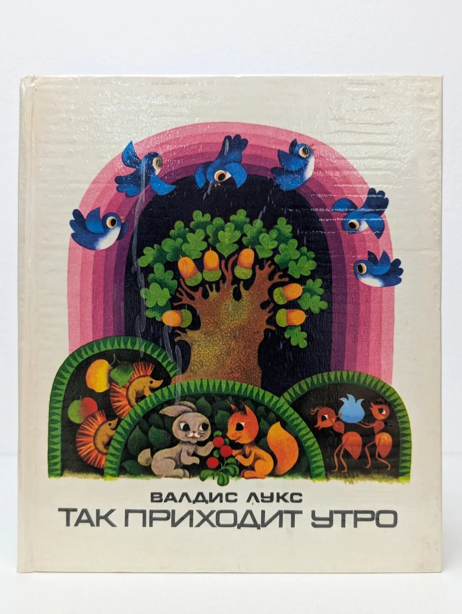 Так приходит утро Лукс Валдис 1978
