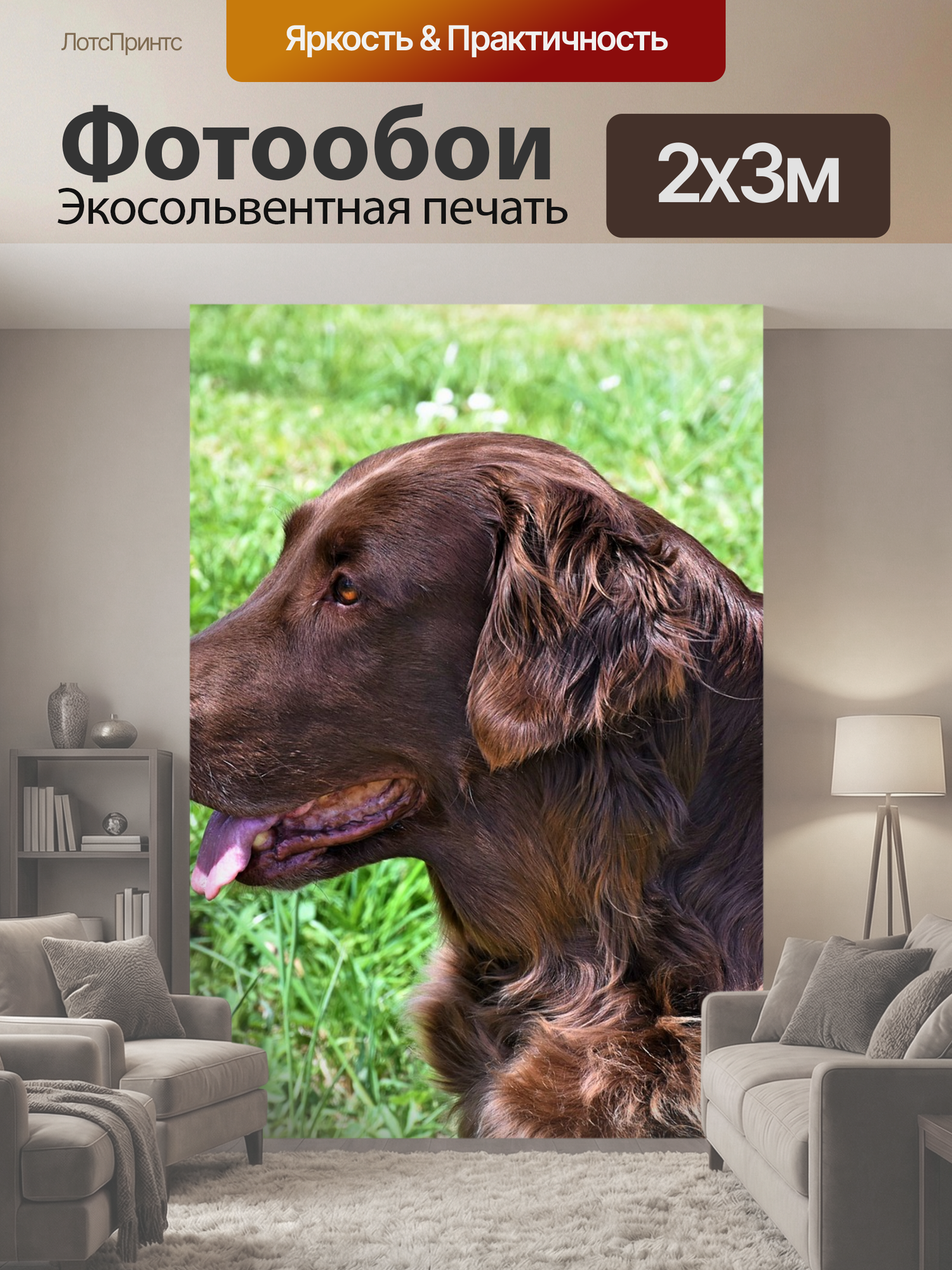 Фотообои "Собака, коричневый, ирландский сеттер" 200x300 см. экосольвентная печать