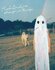 Холст "Phoebe Bridgers Stranger in the Alps", 50x70cm, Белый, Цвет: 7