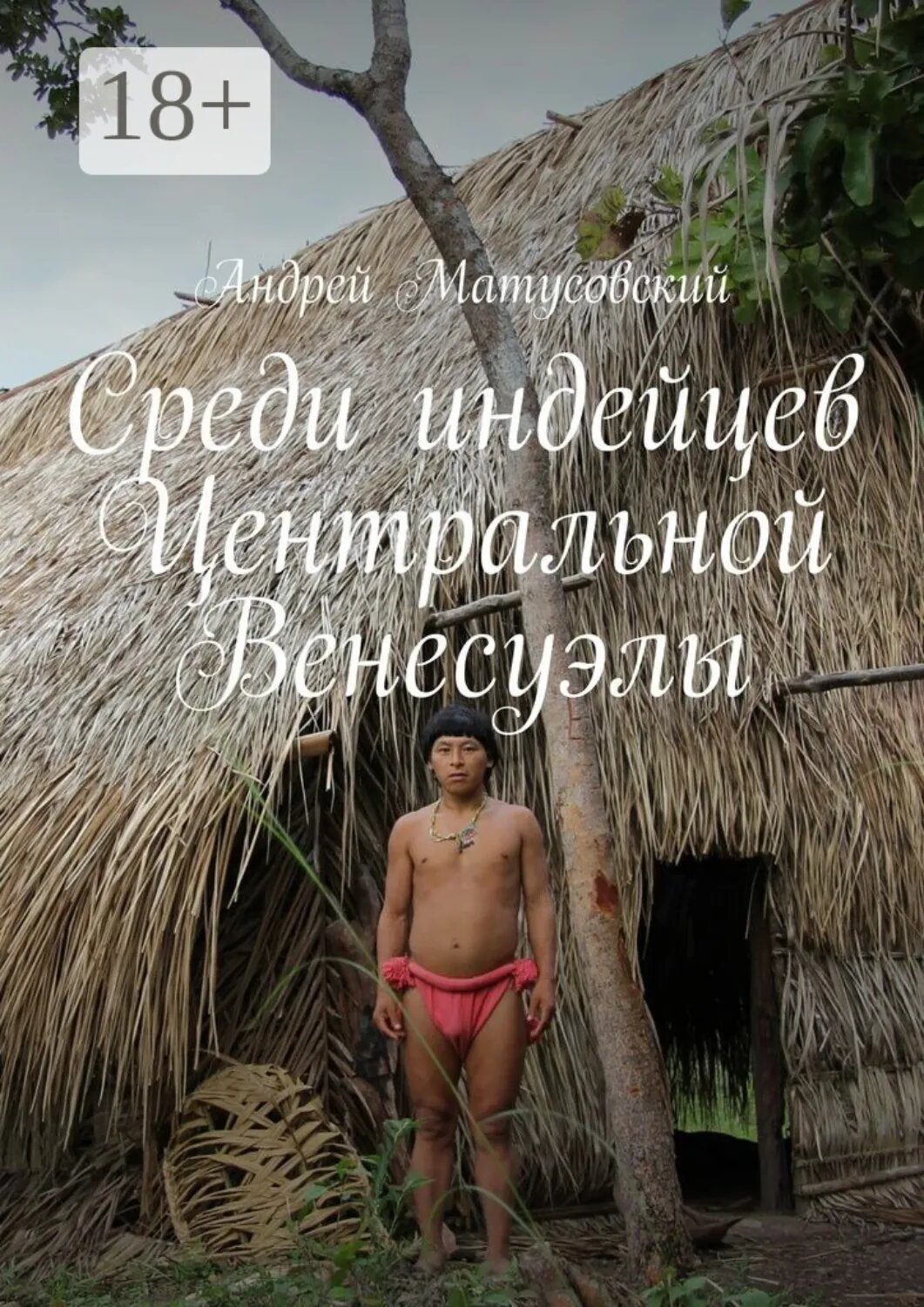 Среди индейцев Центральной Венесуэлы [Цифровая книга]