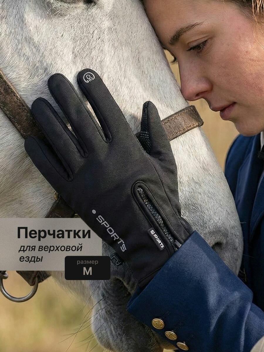 Перчатки спортивные утепленные сенсорные для верховой езды Shark Fit, черные, размер M