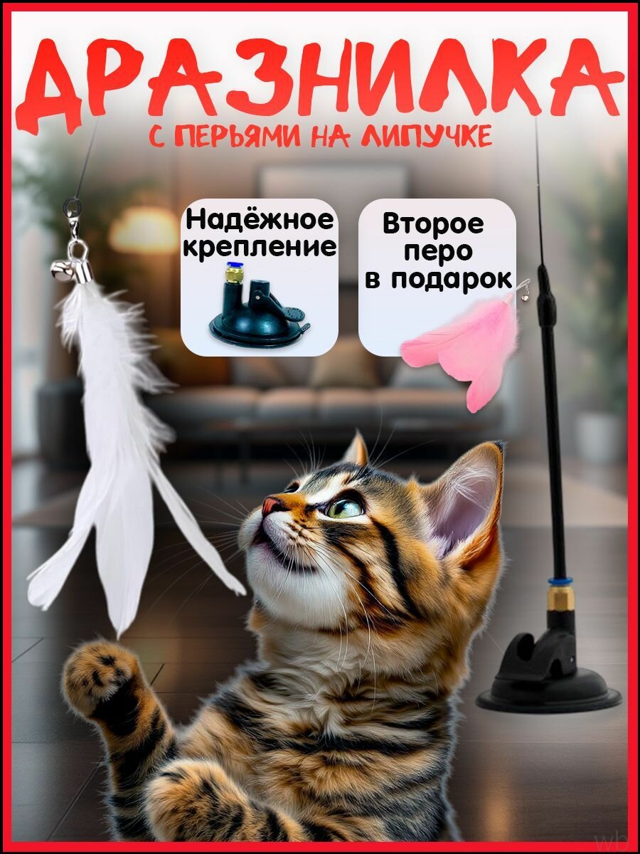 Игрушка для животных